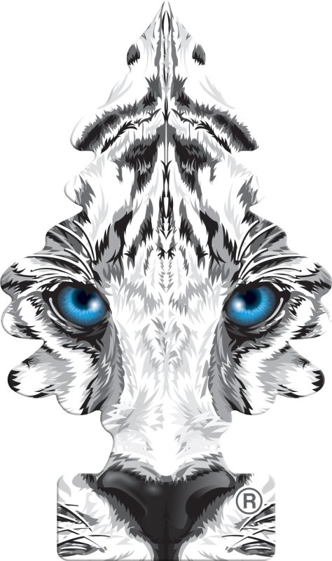 Wunder-Baum Wild Instinct 1er Karte - Helix Automotive