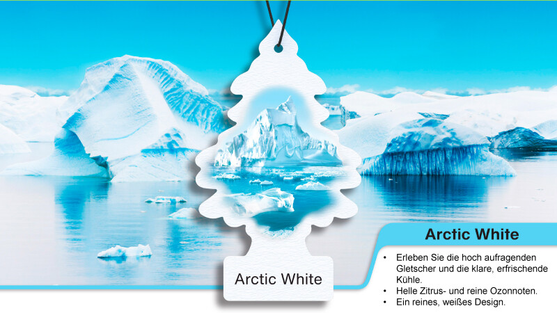 Wunder-Baum Arctic White 1er Karte - Helix Automotive